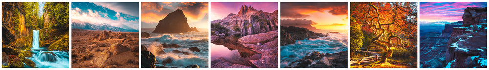 Collections – gallerypanda