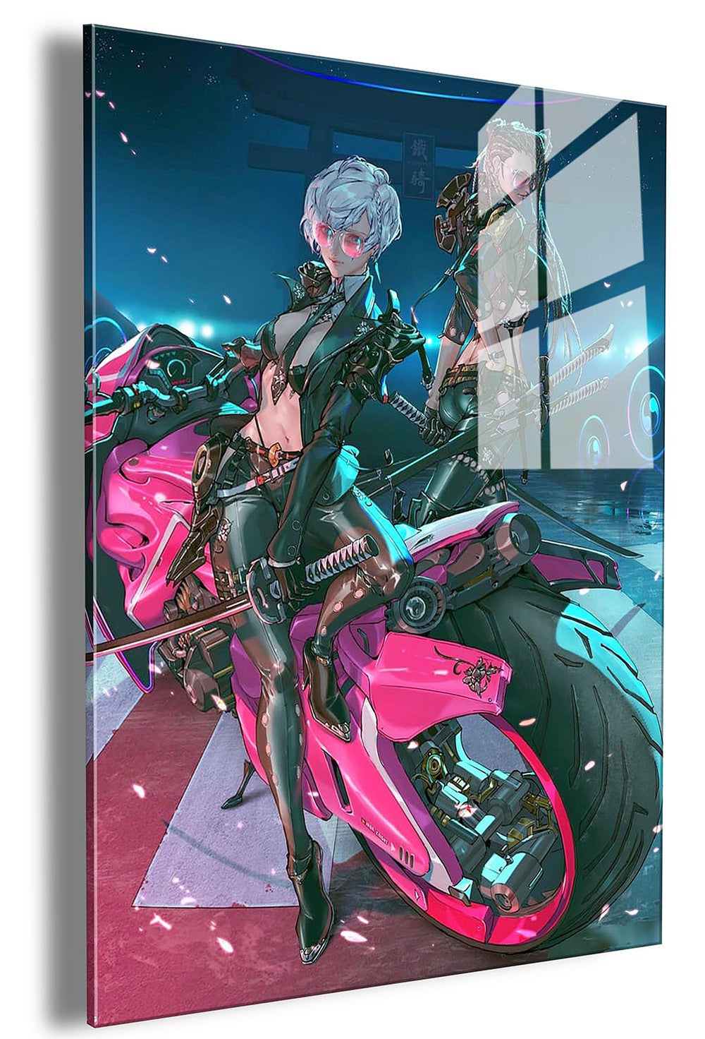 Collections – gallerypanda