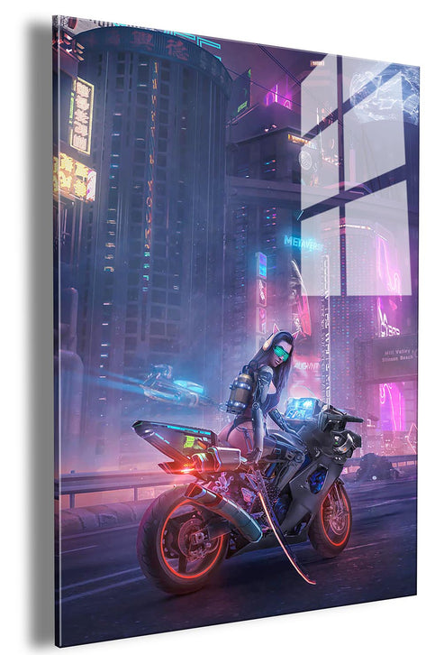 Cyborg Raider – gallerypanda