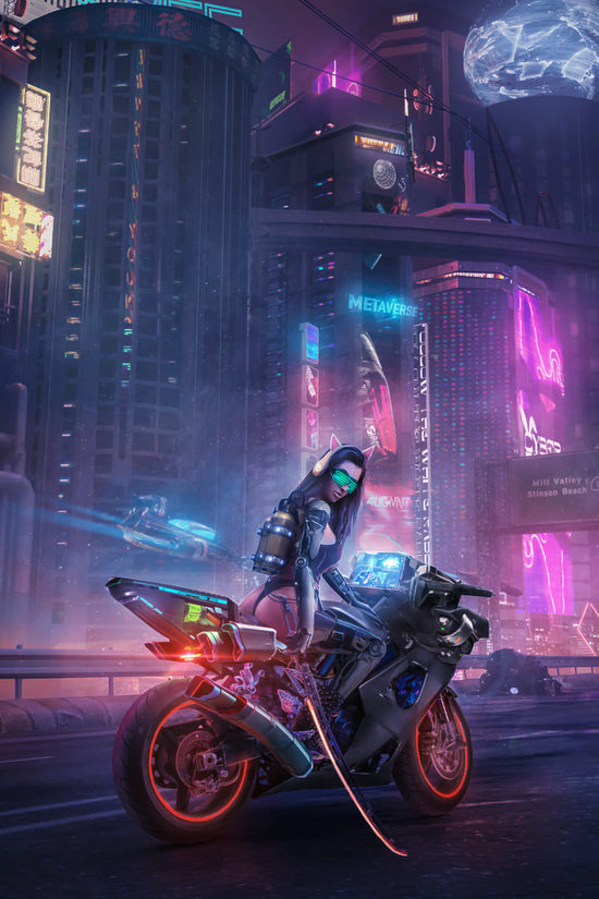 Cyborg Raider – gallerypanda